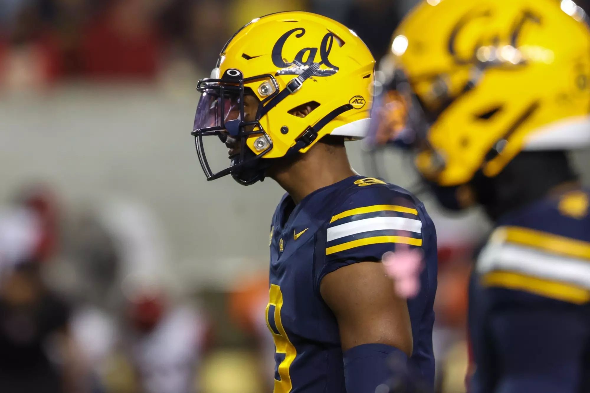 Cal vs. Pitt: College Football Game Preview